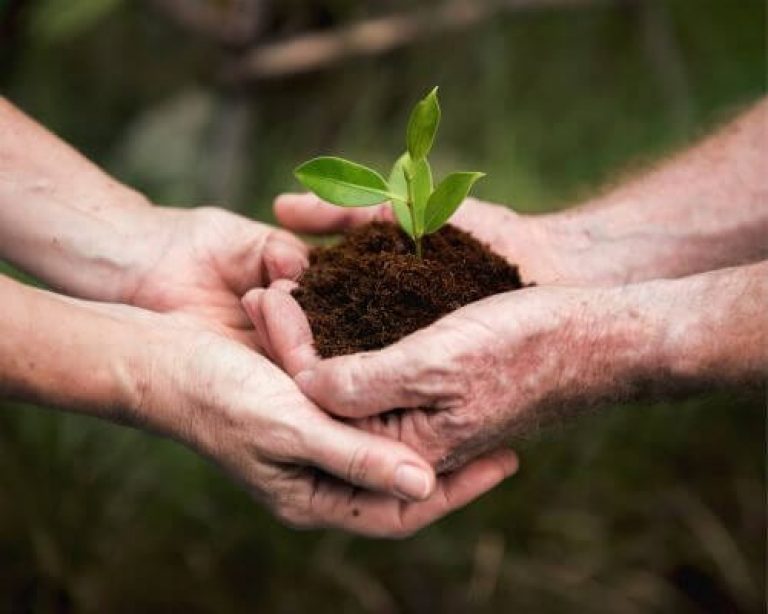 Planet Preservation - Century Pacific Food Inc.